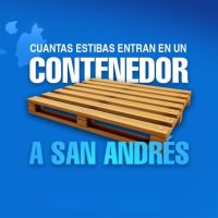 ¿Cuántos pallets caben en un contenedor de 20 y 40 pies?