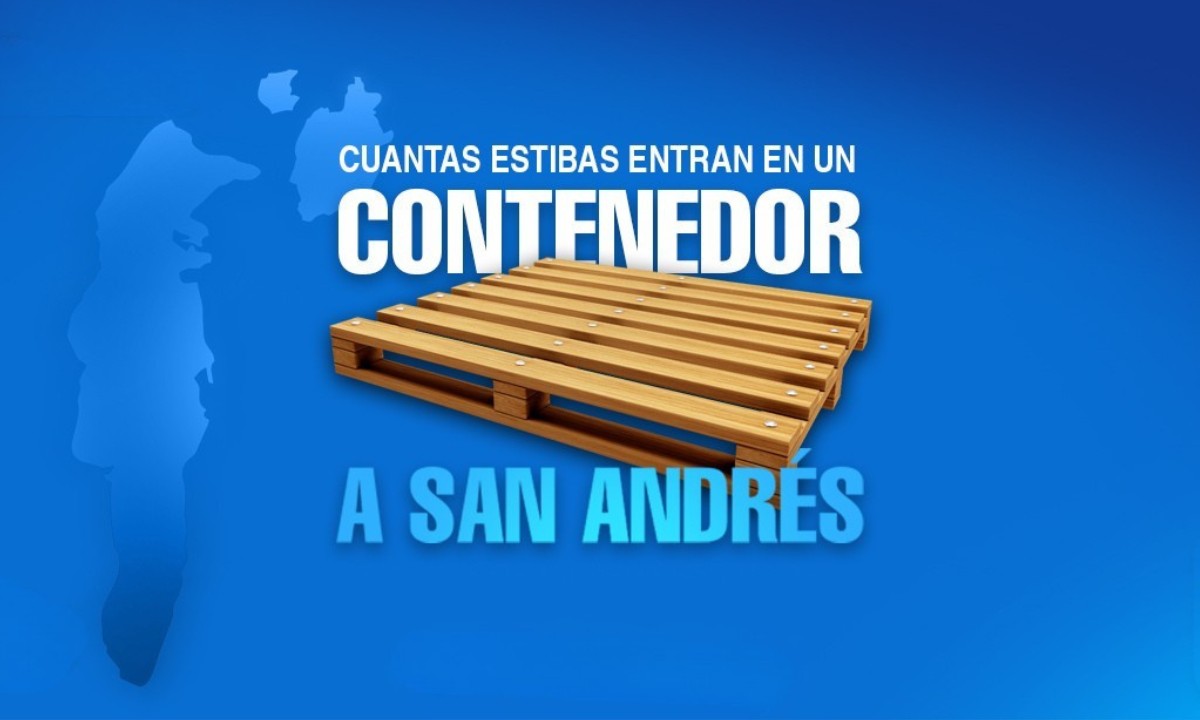 ¿Cuántos pallets caben en un contenedor de 20 y 40 pies?
